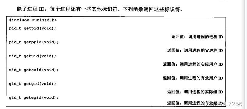 APUE---chap8(进程控制)---8.2~8.10(getpid/fork/wait/waitpid/exec)-CSDN博客
