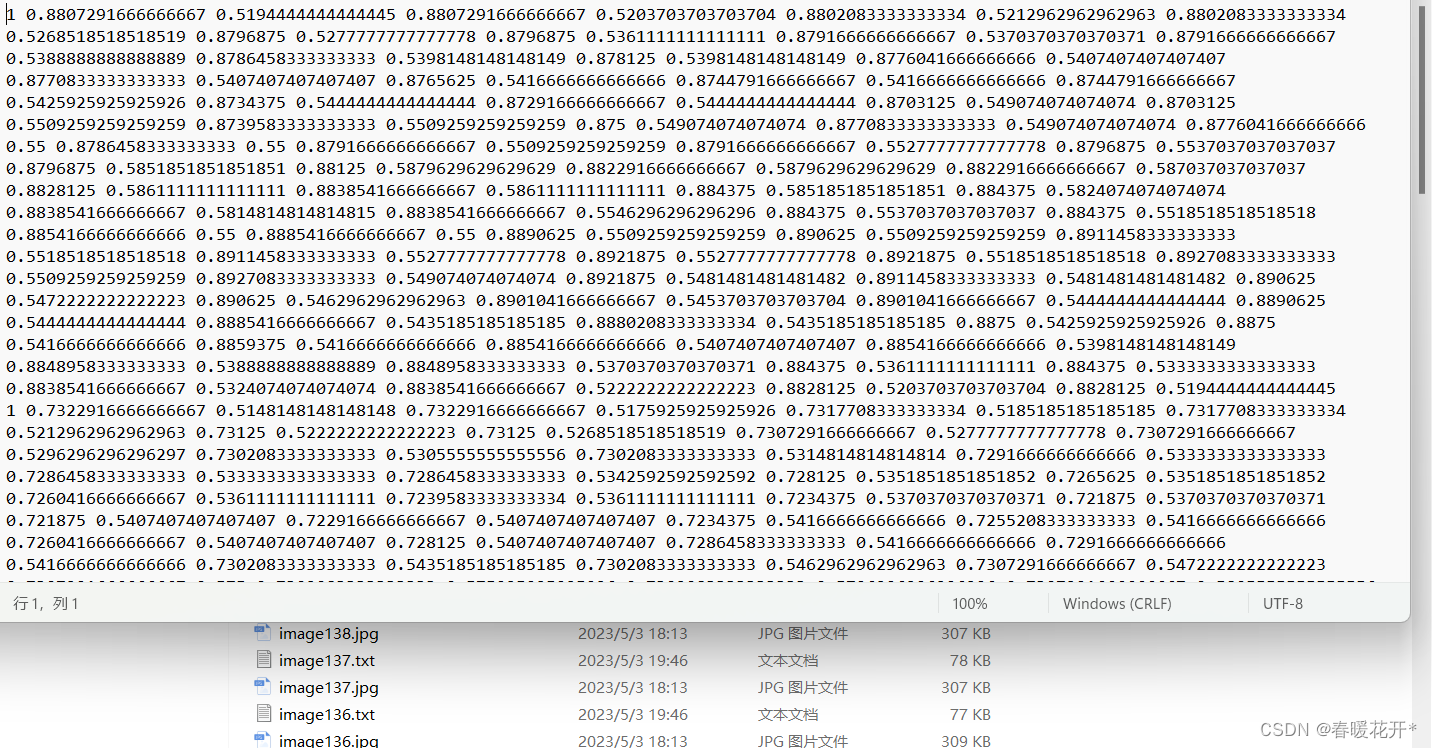 Coco格式数据集 Json转换成yolo格式数据集txt（python代码）coco数据集实例分割json格式转yolo Csdn博客