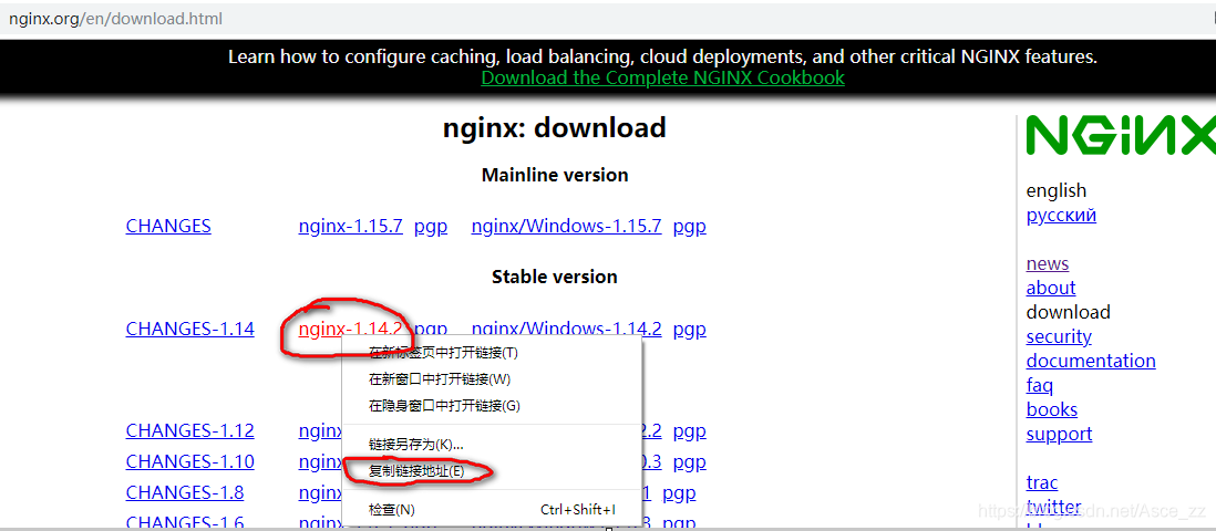 最新LNMP环境搭建（Linux+Nginx+MySql+PHP）_lnmp情况下defalut.conf内容怎么填-CSDN博客
