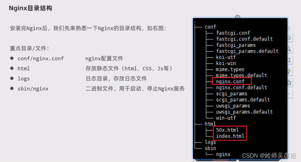 初学Nginx_代理概率-CSDN博客