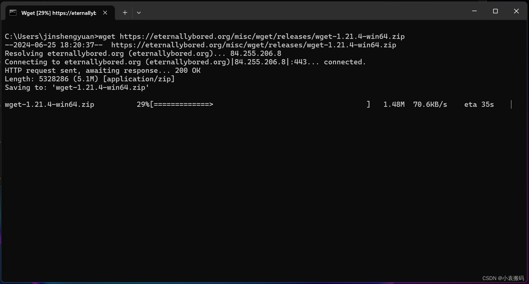 wget之Win11中安装及使用-CSDN博客