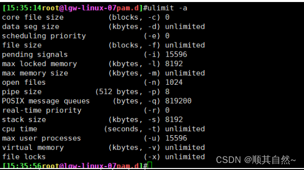 PAM认证模块详解：Linux系统的身份验证框架-CSDN博客