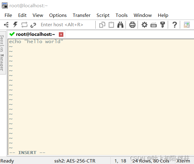 Linux中的环境变量和vim的使用_linux export path-CSDN博客