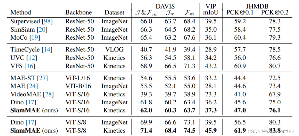 SiamMAE_siamese encode-CSDN博客