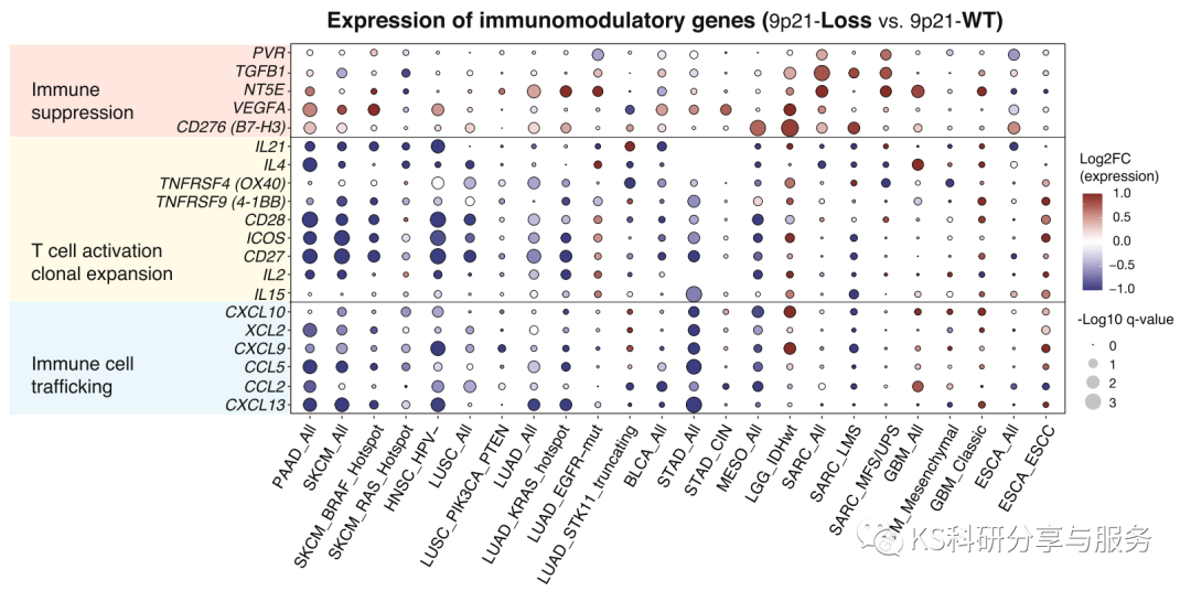 复现nc图表：ggplot气泡图展示基因表达量 多种组合图展示分组转录组数据可以做哪些图表示基因的表达量 Csdn博客
