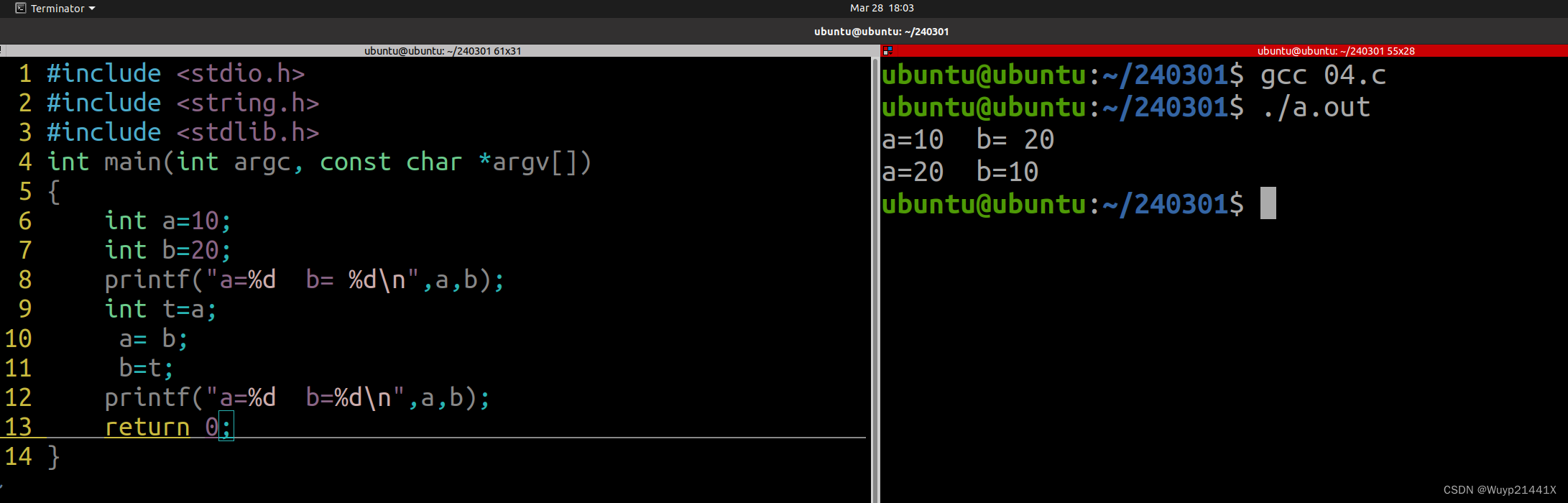 C基础DAY2-CSDN博客