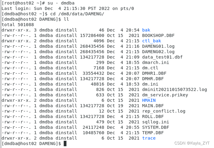 达梦数据库备份与恢复实战指南-CSDN博客
