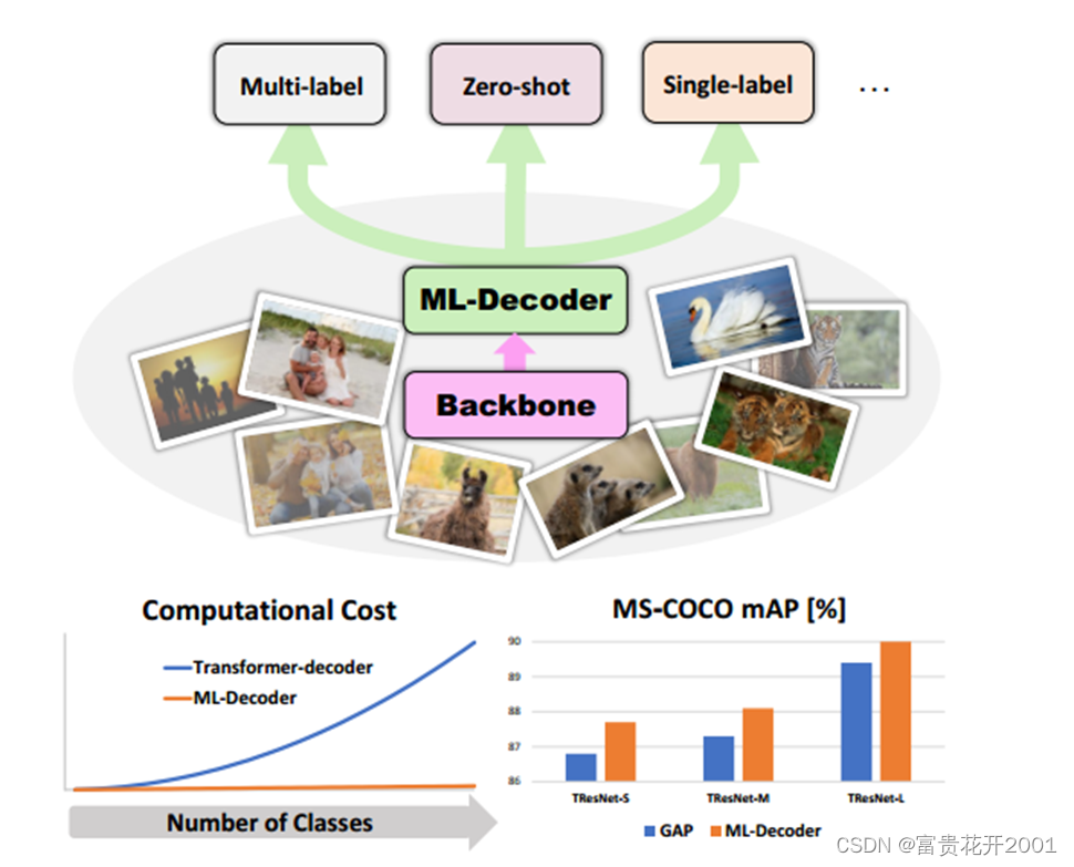 ML-Decoder: Scalable and Versatile Classification Head学习笔记-CSDN博客