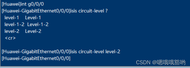 isis记录_network-entity 49.0001.0010.0100.1001.00-CSDN博客