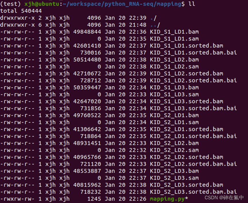 利用Python subprocess模块实现比对，SAM转BAM，排序，索引全部流程_sam文件转bam-CSDN博客