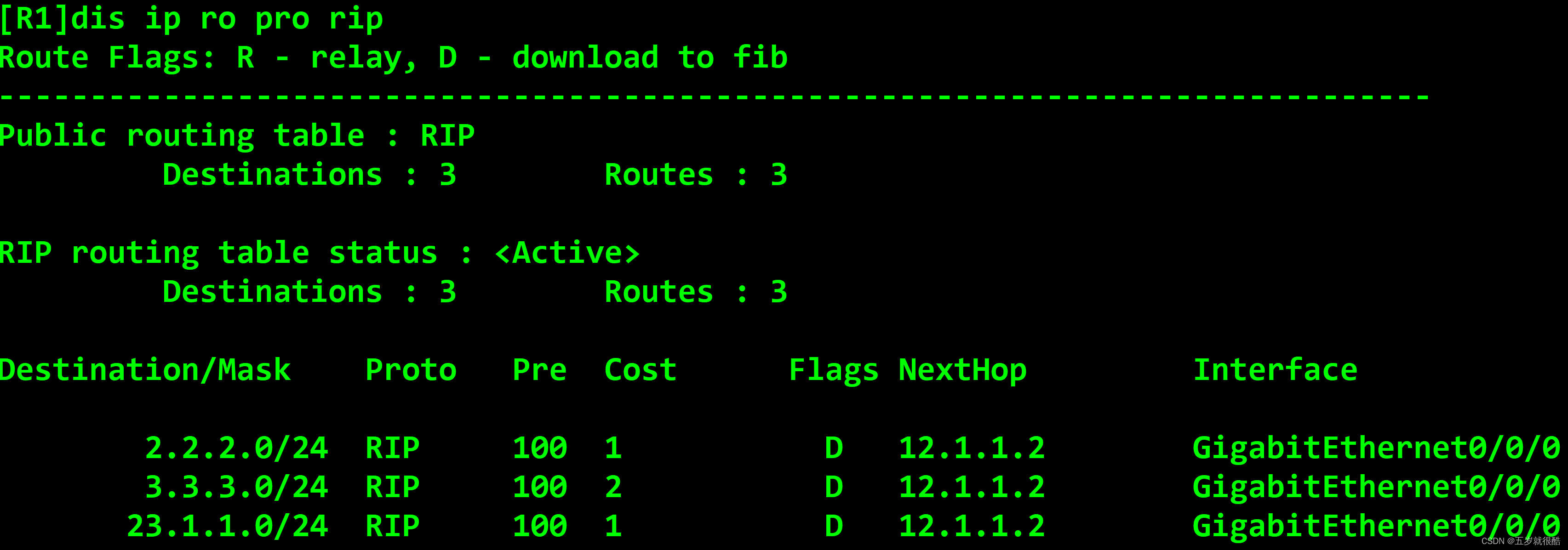 RIP动态网络协议基础知识_rip network-CSDN博客