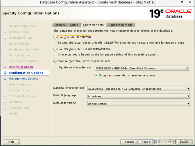 oracle 19c rac搭建详细攻略_oracle19c数据库实例-CSDN博客