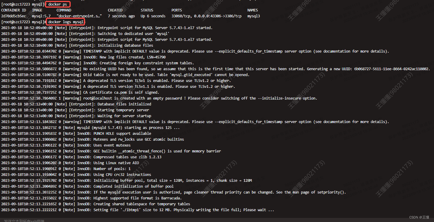 docker安装mysql-CSDN博客