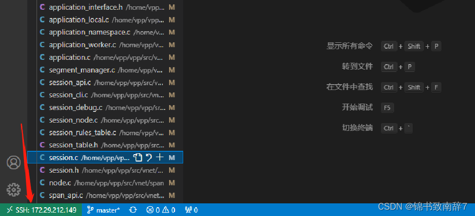 linux vscode使用ssh连接到远程服务器_select ssh configuration file to update-CSDN博客