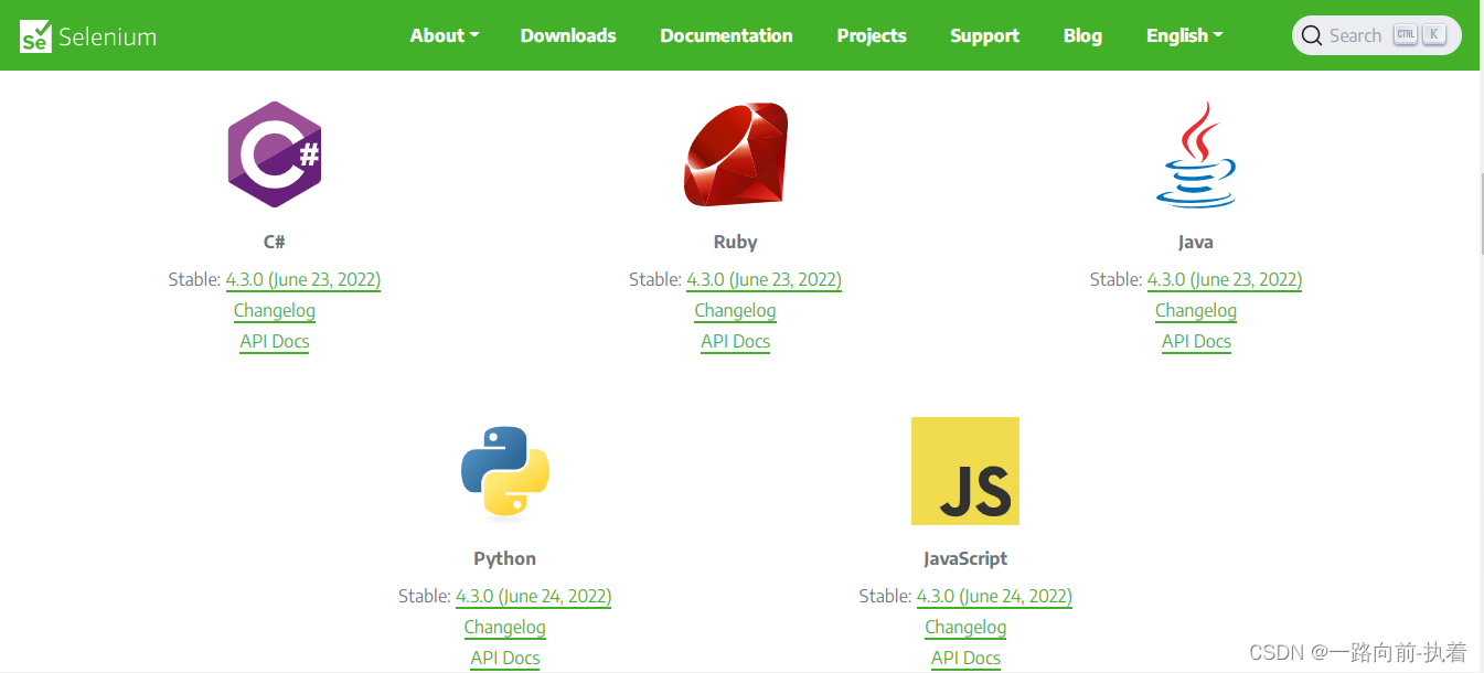 selenium-java常用api_java selenium api-CSDN博客
