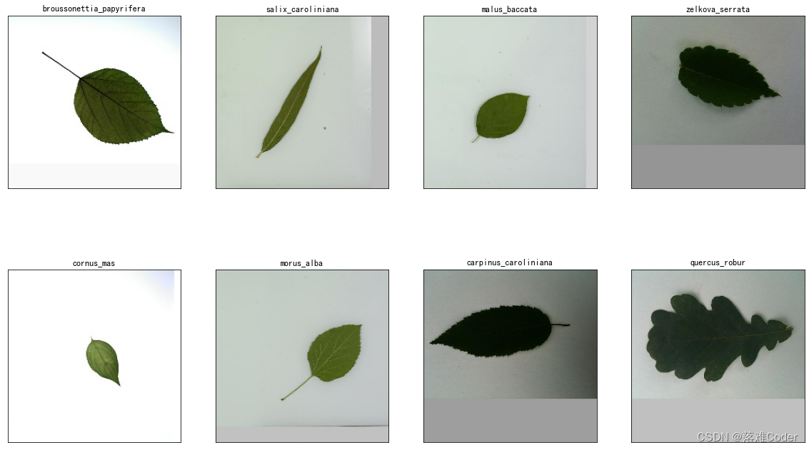 【李沐-Kaggle-Classify Leaves】李沐老师Kaggle树叶分类实战代码_李沐 树叶分类代码-CSDN博客