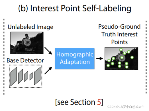 【论文精读】SuperPoint: Self-Supervised Interest Point Detection and Description_superpoint论文-CSDN博客
