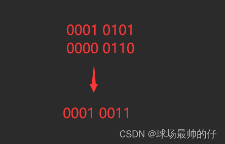python中的进制转换与位运算_python16进制运算-CSDN博客