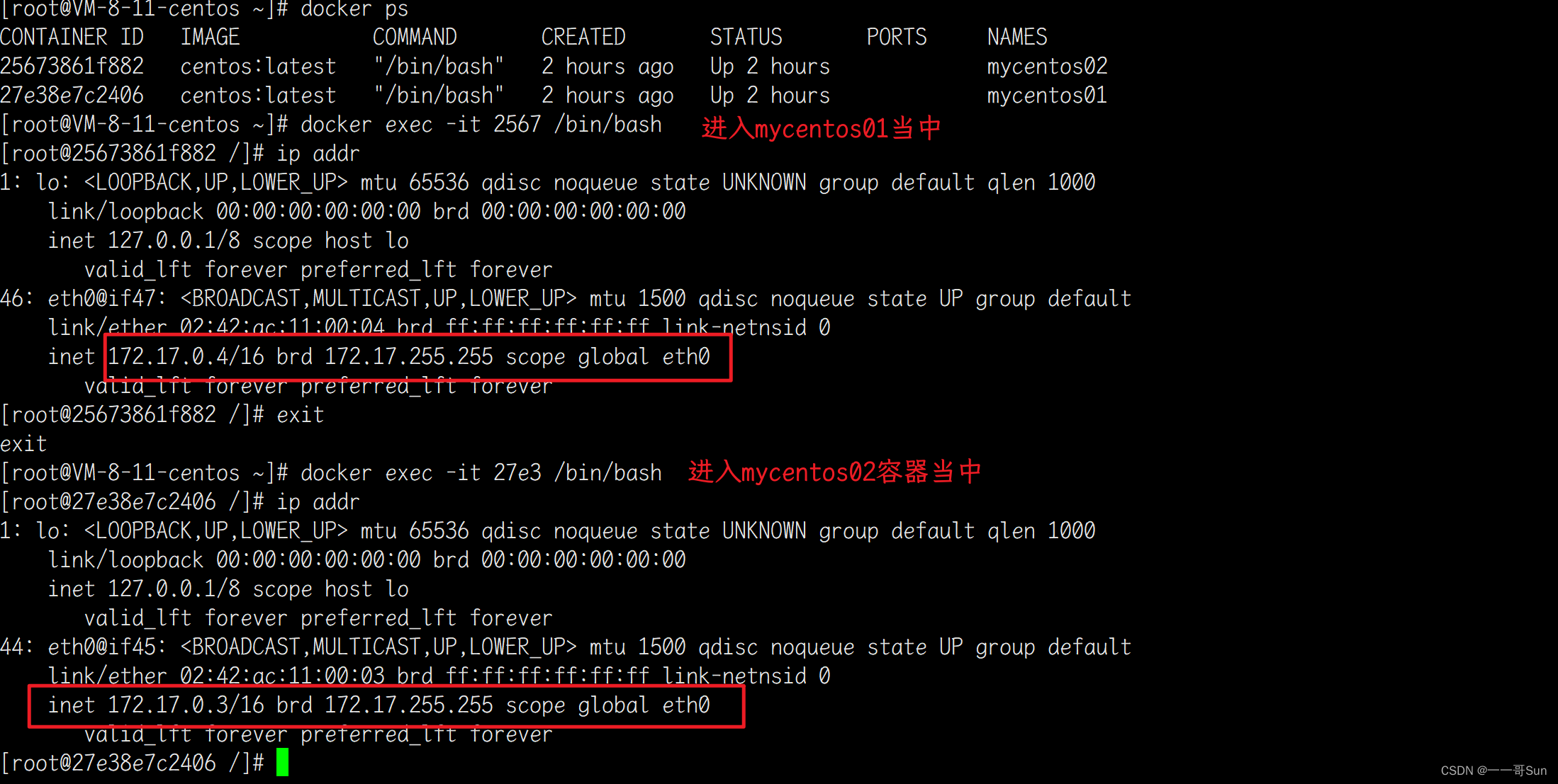 如何配置Docker网络的Bridge模式？看这里_thunderbolt bridge docker-CSDN博客