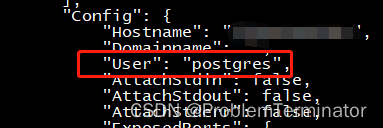 docker部署的postgres如何导出sql_opengauss docker 导出sql脚本-CSDN博客