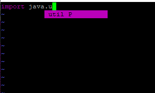 Vim中的Java代码补全插件_omni completion for java-CSDN博客