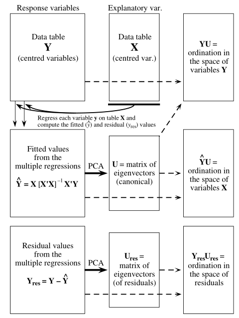 canoco5冗余分析步骤_群落分析的冗余分析（RDA）概述-CSDN博客