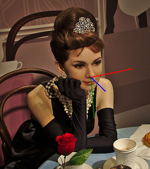 基于 C# 开源的功能强大 .NET 人脸识别 API_c# facerecognitiondotnet-CSDN博客