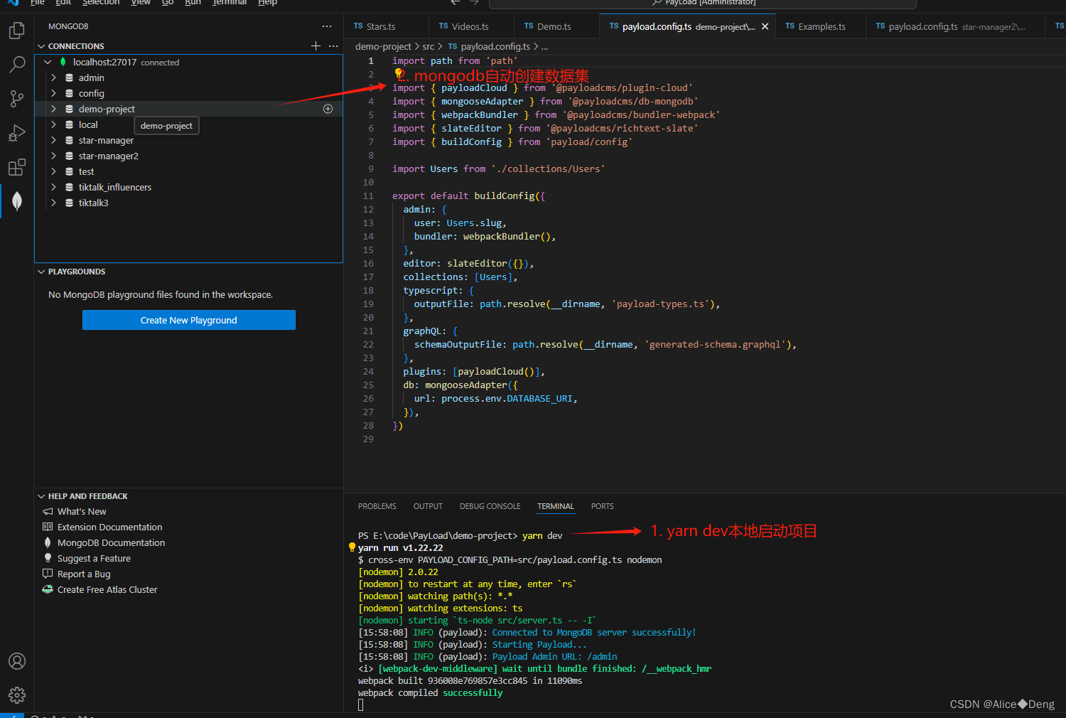 PayLoad项目快速搭建_payload 开发-CSDN博客