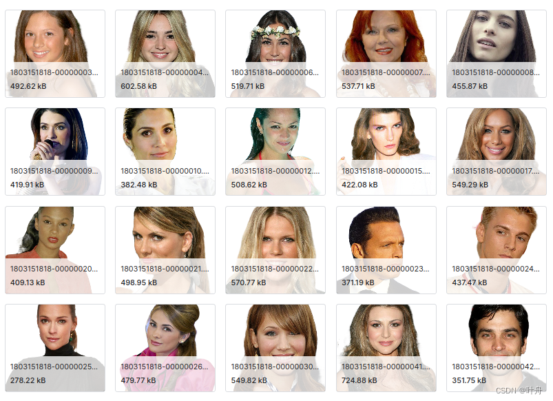 几种常见的Matting数据集【附度盘下载链接】-CSDN博客
