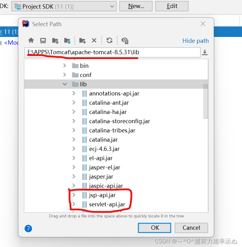 Idea中编写jsp文件一些属性报红的问题_idea jsp 文件格式报红-CSDN博客