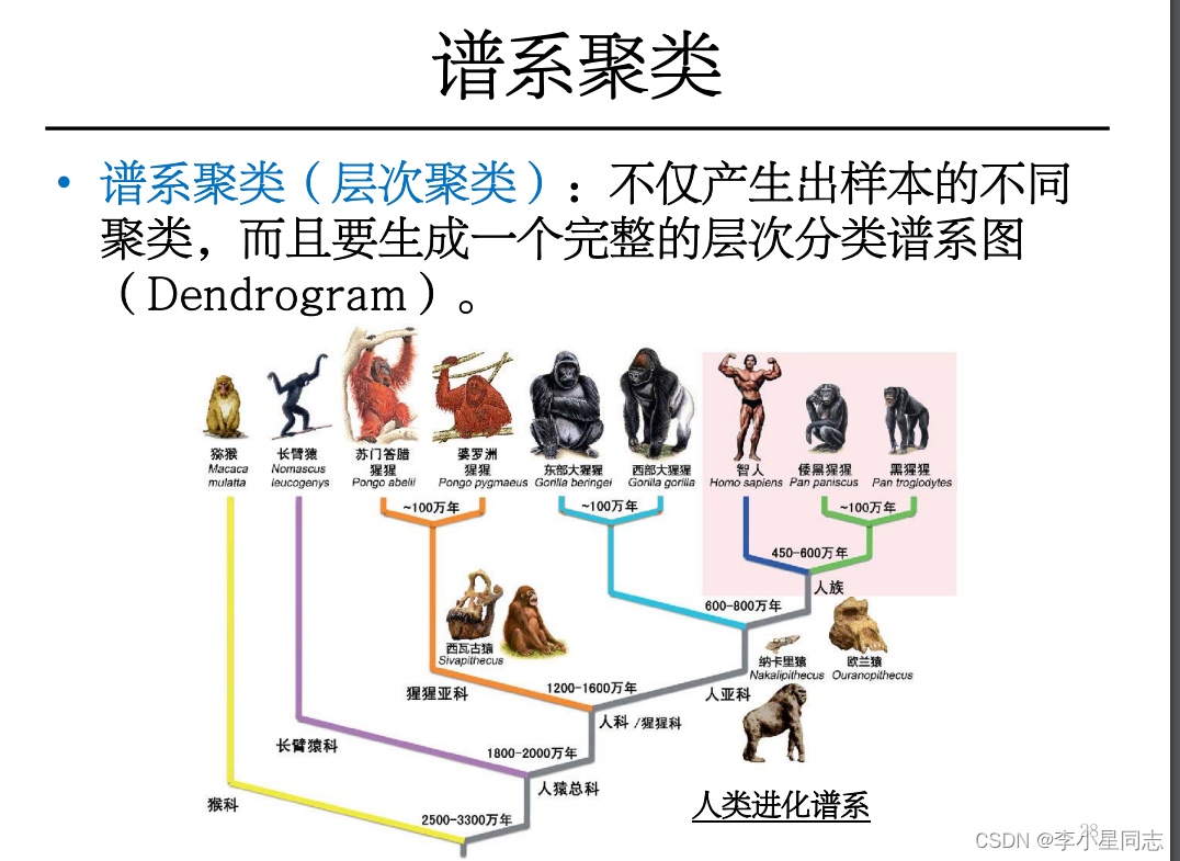 模式识别 4.无监督学习与聚类_模式识别中tr-CSDN博客