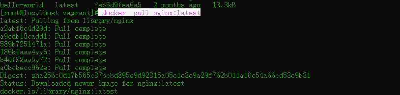 Docker安装常用服务01-安装Nginx_docker exec -it nginx bash root-CSDN博客