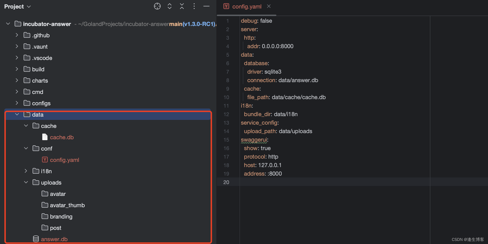 Apache Incubator Answer 本地开发部署_incubator-answer-CSDN博客