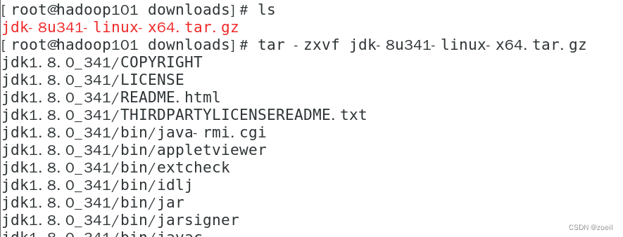 Linux安装jdk详细步骤_linux安装jdk21-CSDN博客