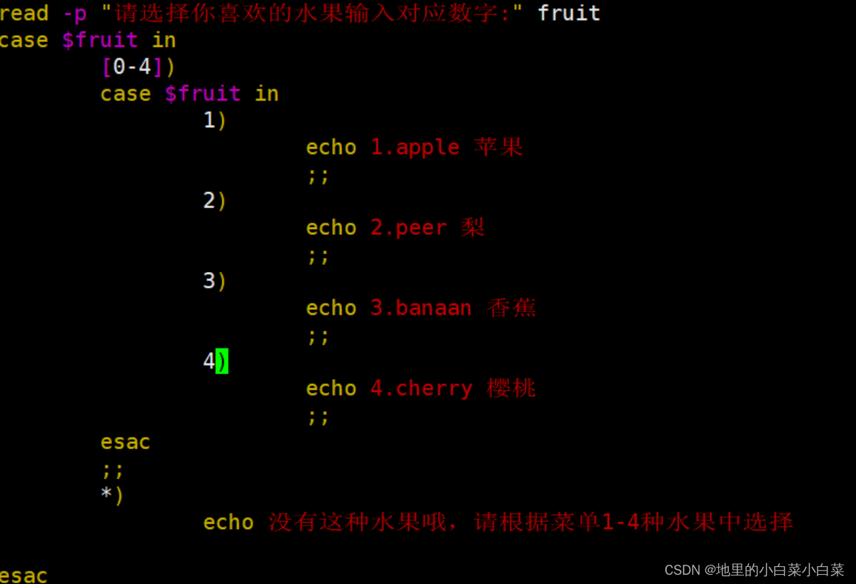 使用Shell脚本创建水果菜单及实现整数比较-CSDN博客