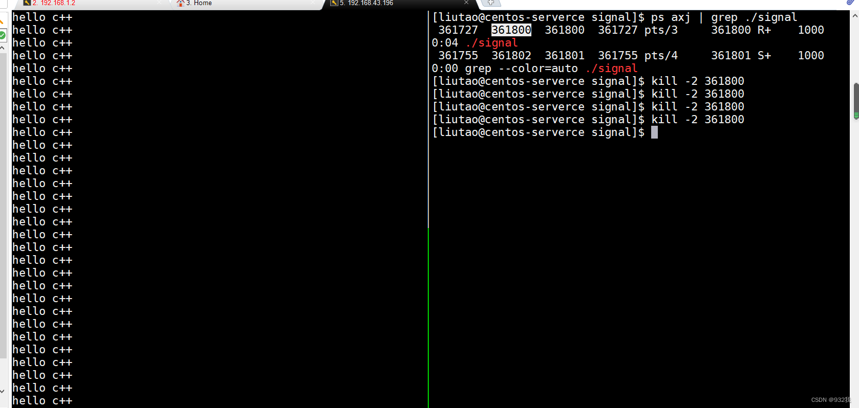 Linux信号捕捉_linux sigaction coredump-CSDN博客
