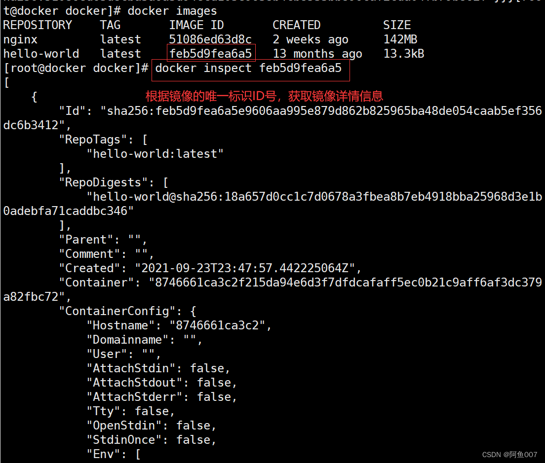 Docker：docker镜像与容器的基本操作_docker 后台运行-CSDN博客
