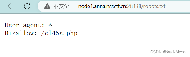 [SWPUCTF 2021 新生赛] ez_unserialize_ctf ezunserialize 空白页-CSDN博客