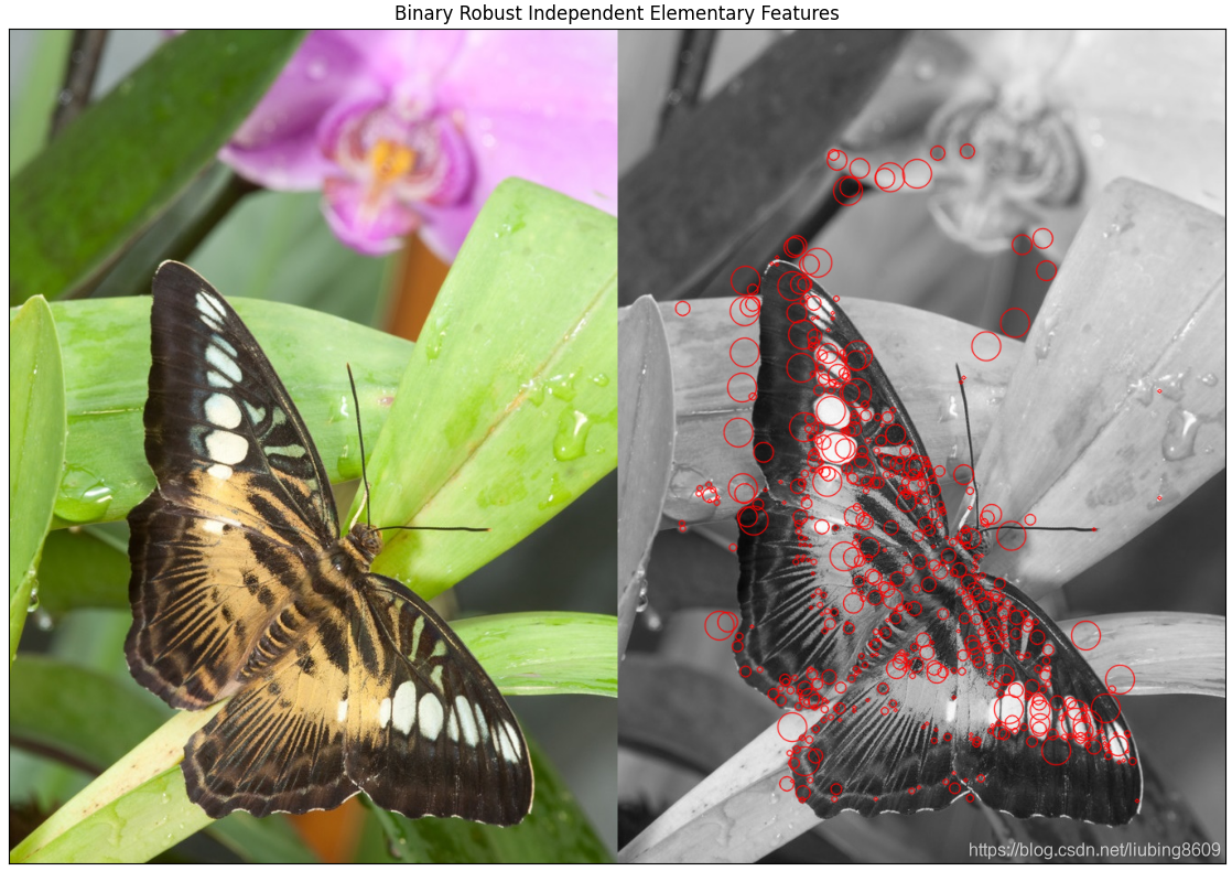 Python+OpenCV：图像二进制鲁棒独立基本特征(BRIEF, Binary Robust Independent Elementary Features)_opencv python ...