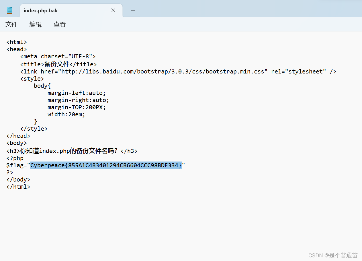 【功防世界-web】backup_webbackup-CSDN博客