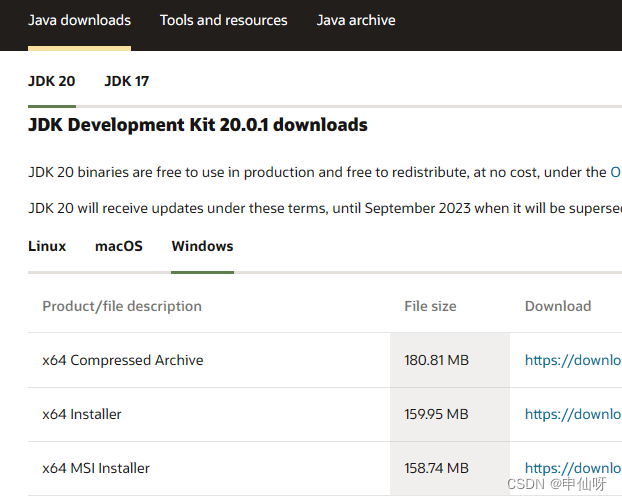 Java开发环境jdk安装验证2023新 Jdk20不需要配置环境变量吗 Csdn博客