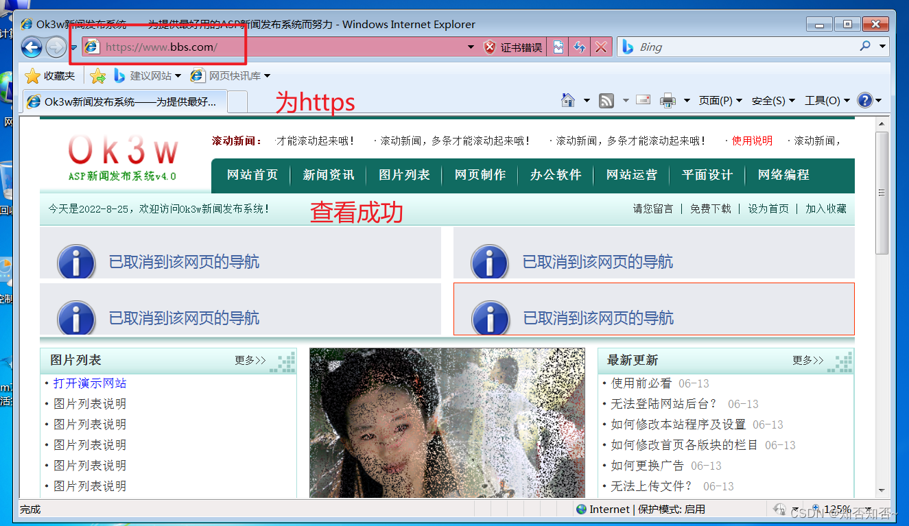 Win2008部署HTTPS服务器：证书申请与Web服务器配置指南-CSDN博客