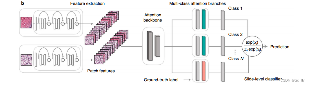 CLAM用于弱监督WSI分析_clam(clustering-constrained-attention multiple-ins-CSDN博客