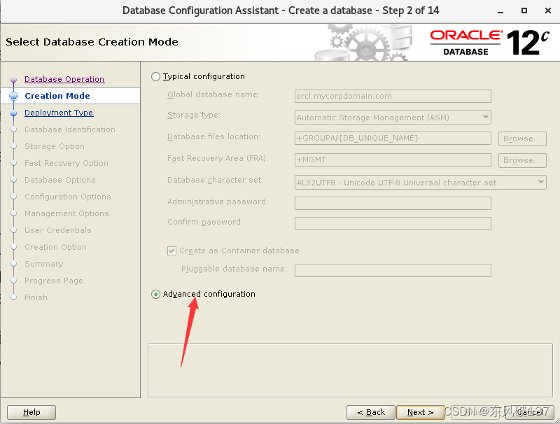 在oracle12c Rac集群中使用dbca图形化创建数据库时需要设置数据块大小,应该在目录的那一步找到定制数据库oracle 12c Dbca Csdn博客 5232