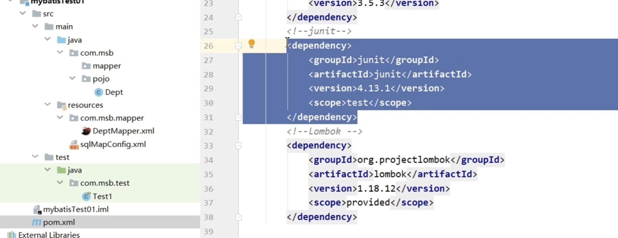 MyBatis查询测试与问题解决-CSDN博客