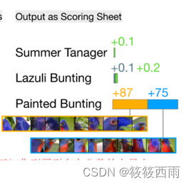 论文浅读之PIP-Net: Patch-Based Intuitive Prototypes for Interpretable Image Classification-CSDN博客