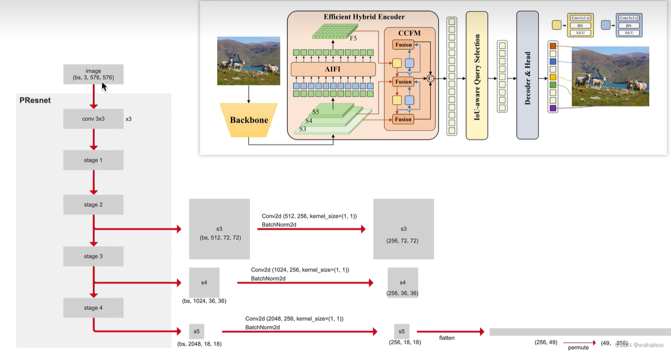 详细的RT-DETR学习笔记-CSDN博客