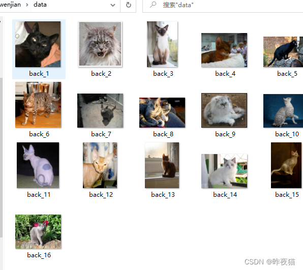 Opencv 数据文件整理和复原（python学习笔记）按照28的比例随机抽取图片分别放在test和train子目录下。在train目录下的文件按 Csdn博客