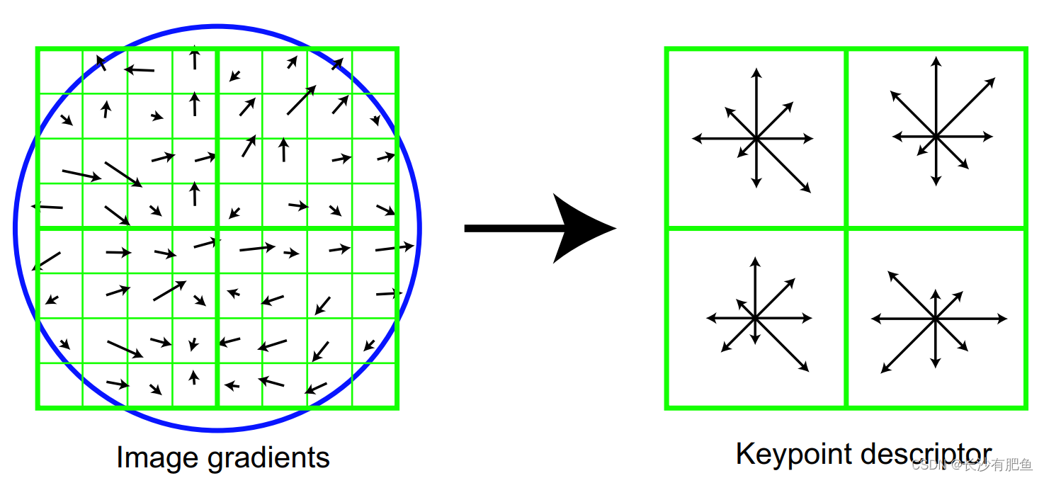 Distinctive Image Features from Scale-Invariant Keypoints (SIFT)全文翻译-CSDN博客