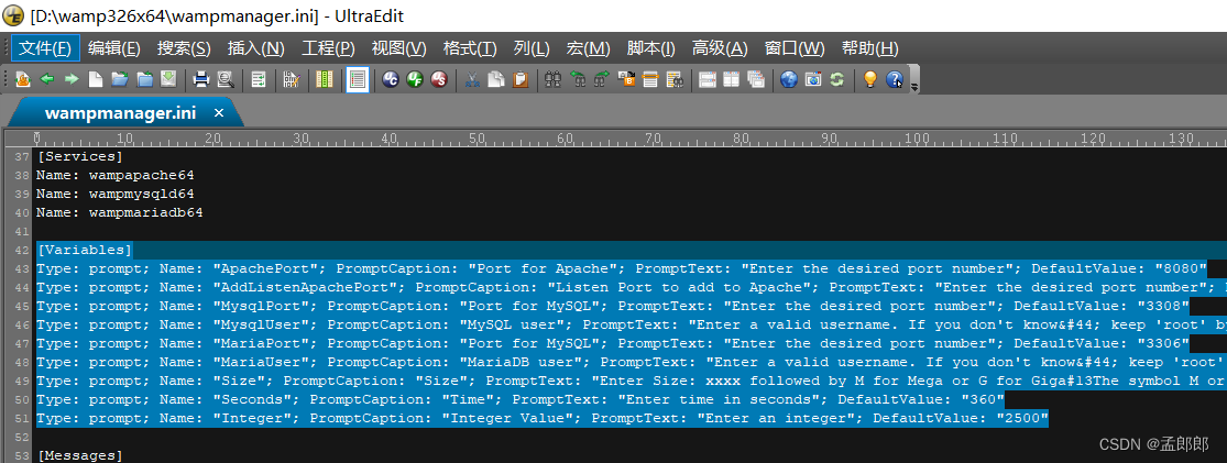 Wampserver 切换中文时无法启动报错处理_the configuration file contains a syntax-CSDN博客